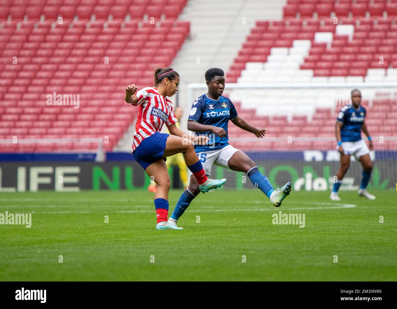 Grace asantewaa hi-res stock photography and images - Alamy