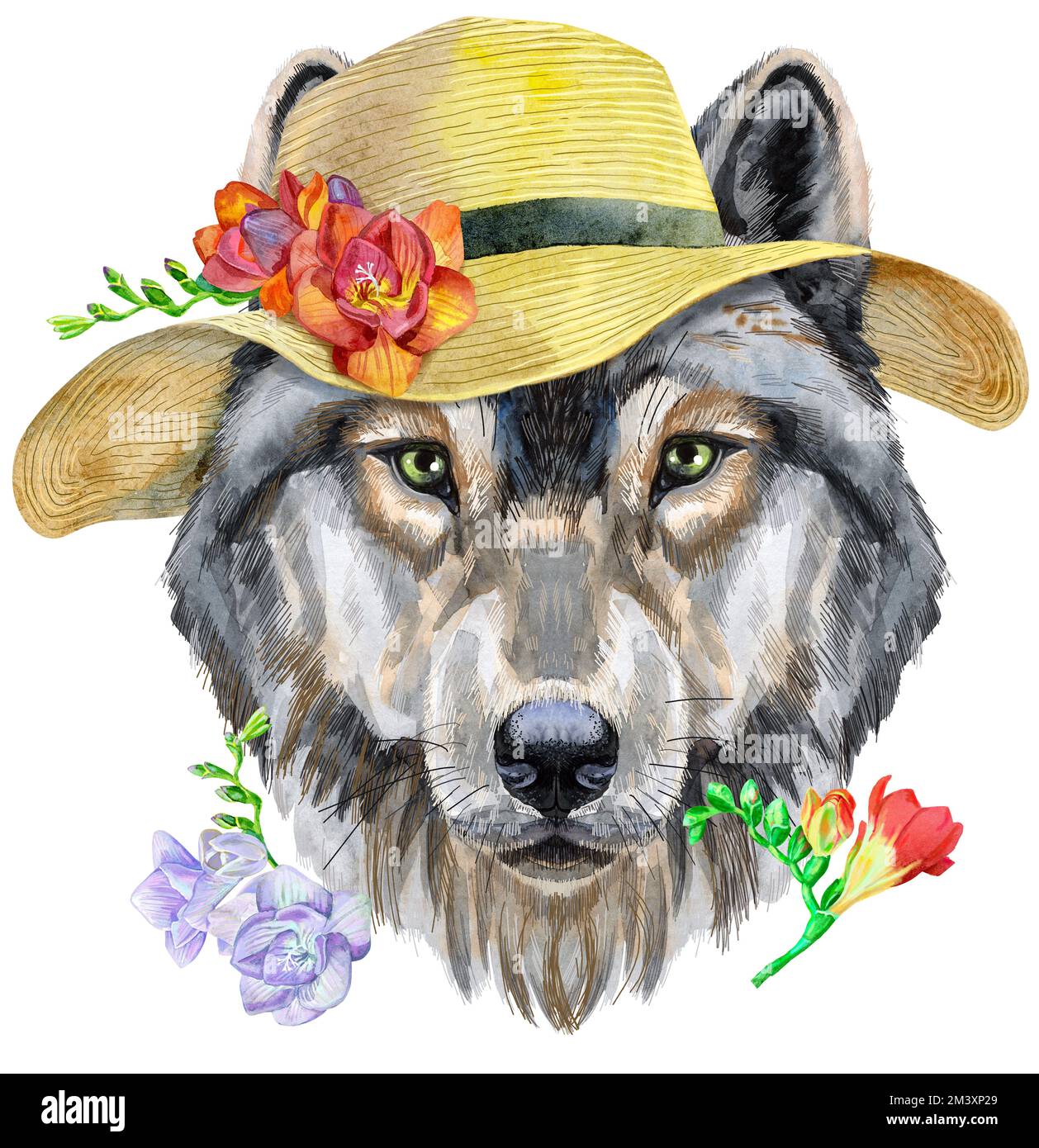 Wolf portrait in summer hat with freesia. Watercolor gray wolf painting ...