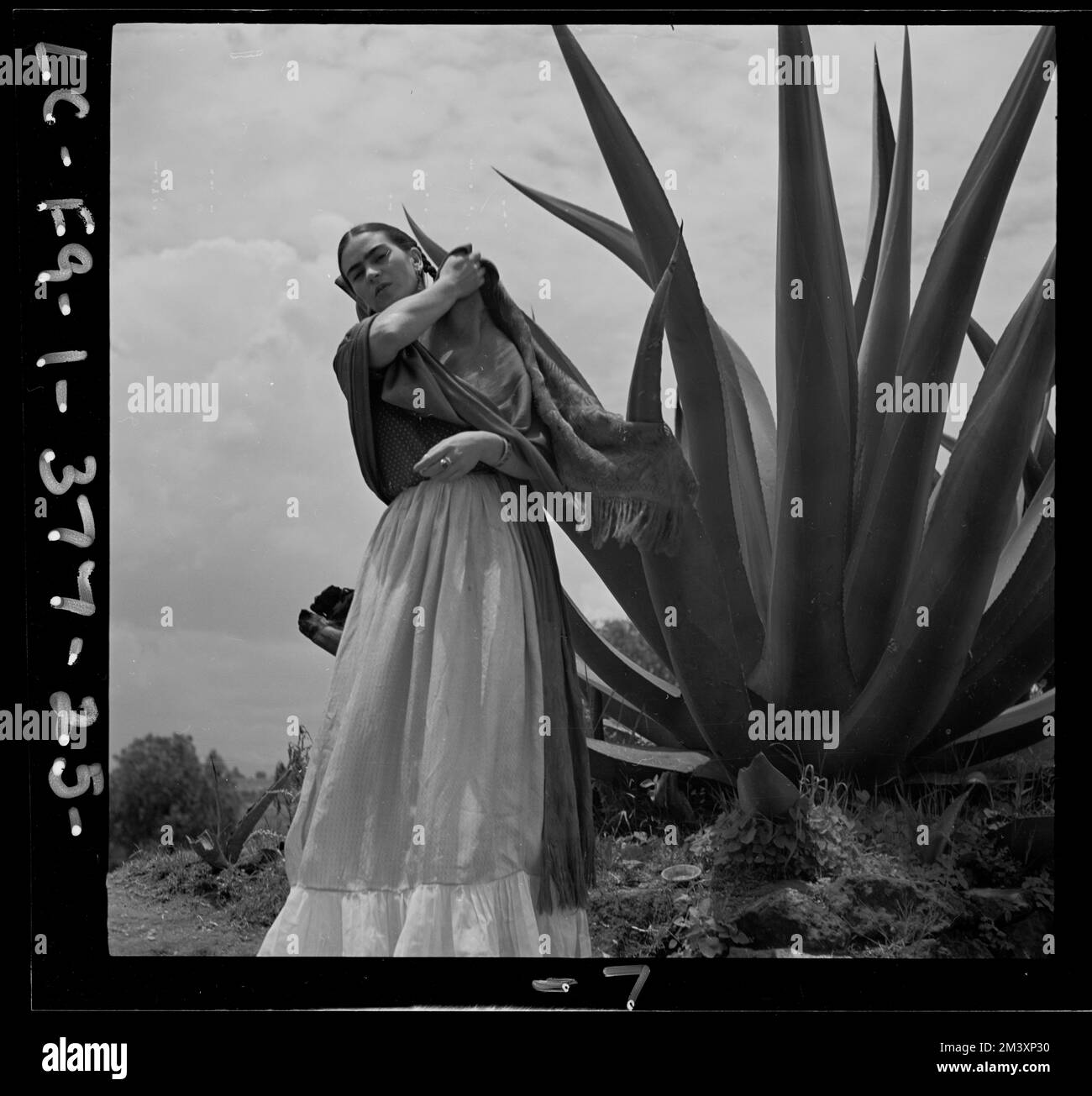 Frida Kahlo (Senora Diego Rivera) standing next to an agave plant ...