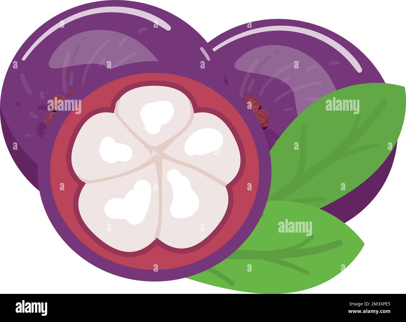 Food mangosteen icon cartoon vector. Summer fruit Stock Vector Image ...