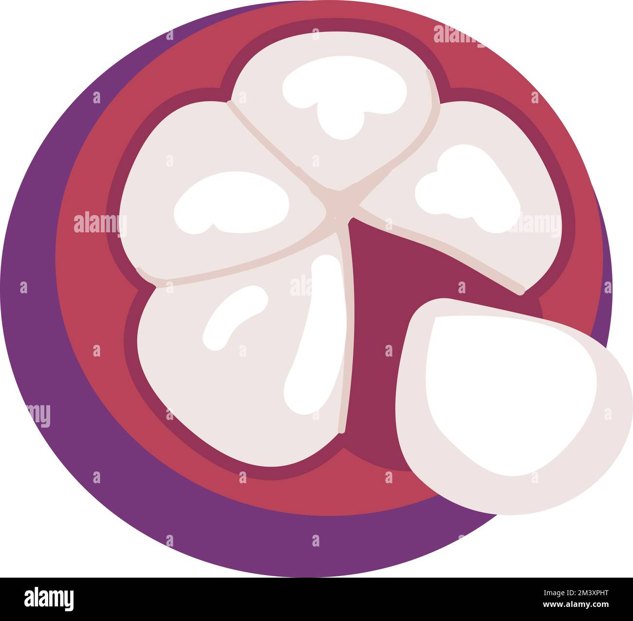 Cutted mangosteen icon cartoon vector. Fruit food Stock Vector Image ...