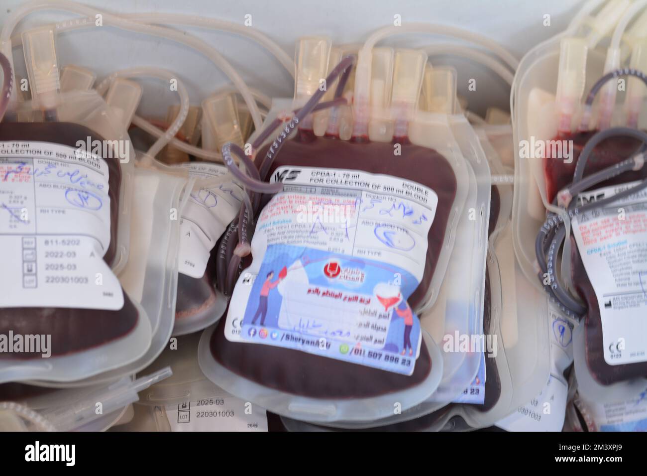 Cairo, Egypt, December 13 2022: blood bags from donors with different ...