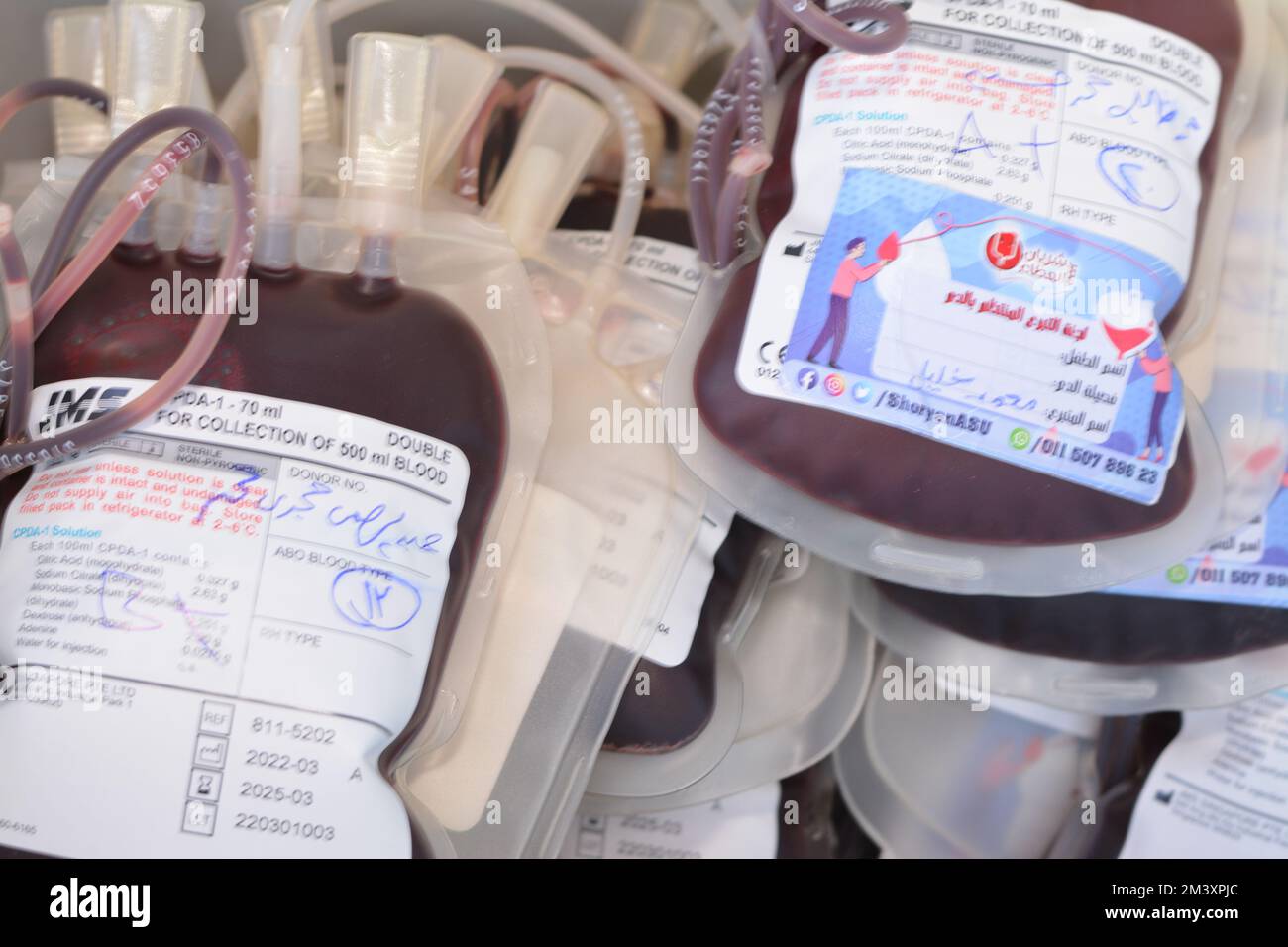 Cairo, Egypt, December 13 2022: blood bags from donors with different ...