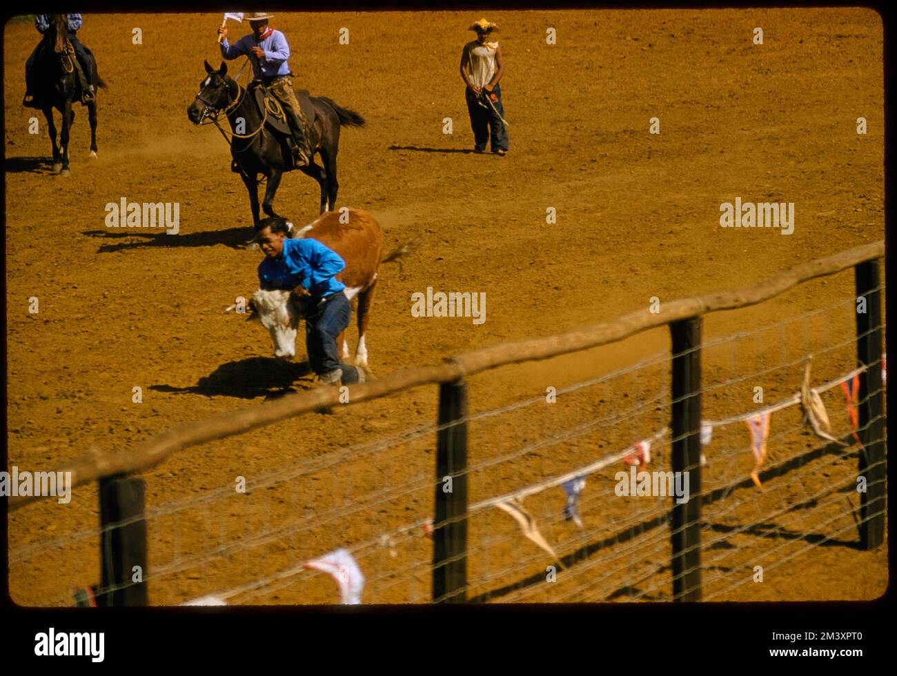 Maui Rodeo Extras, Toni Frissell, Antoinette Frissell Bacon, Antoinette ...