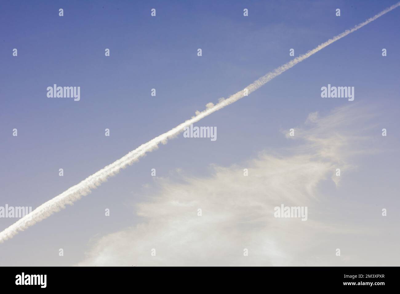 Biological traces hi-res stock photography and images - Alamy