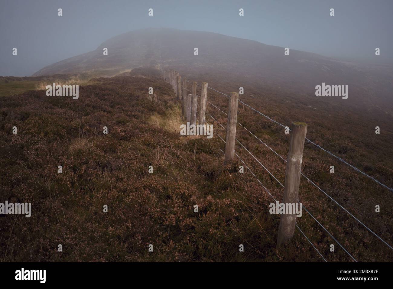 Pentland country park hi-res stock photography and images - Alamy