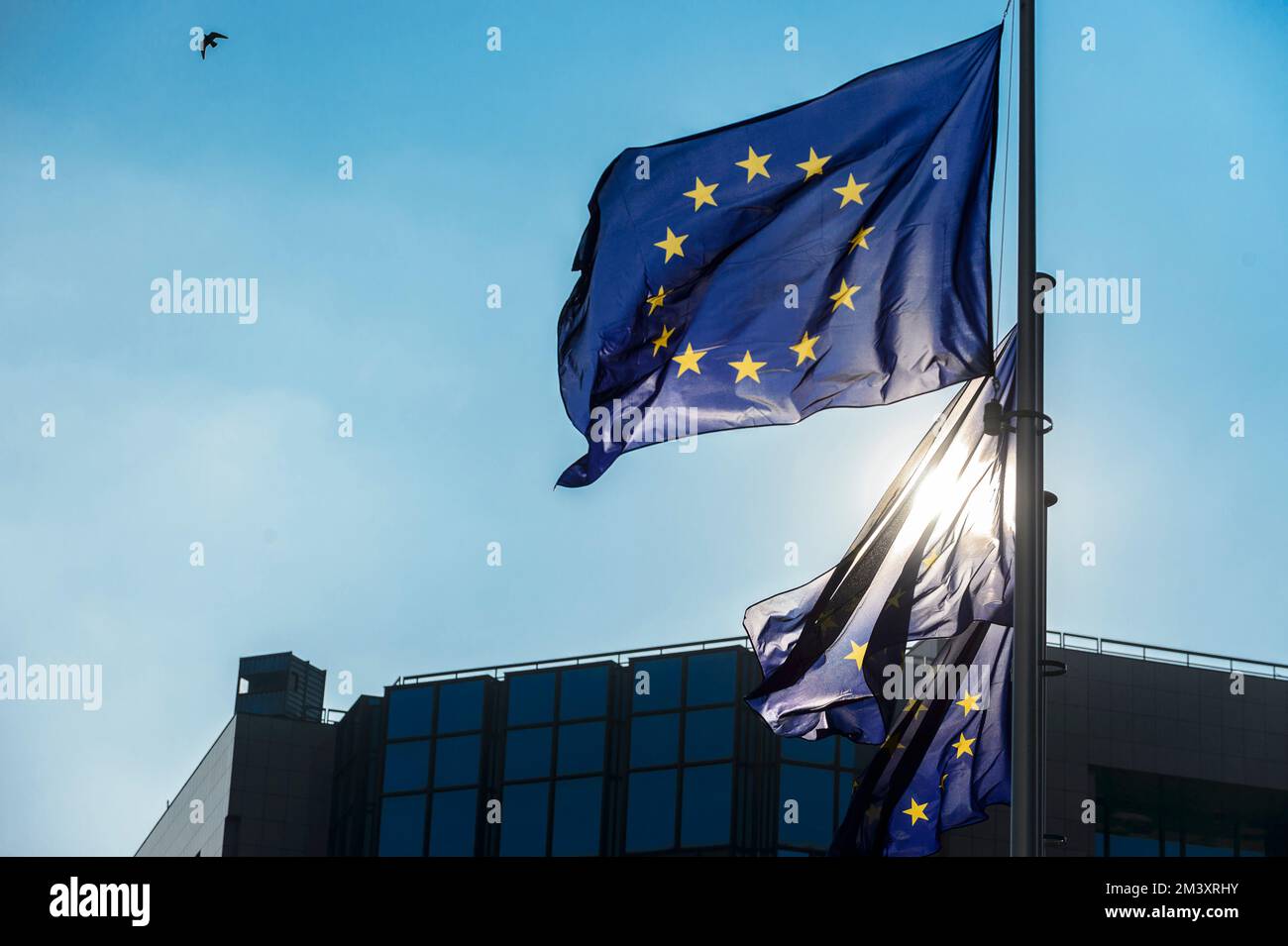 Several official European Flags with the blue and the yellow stars are ...