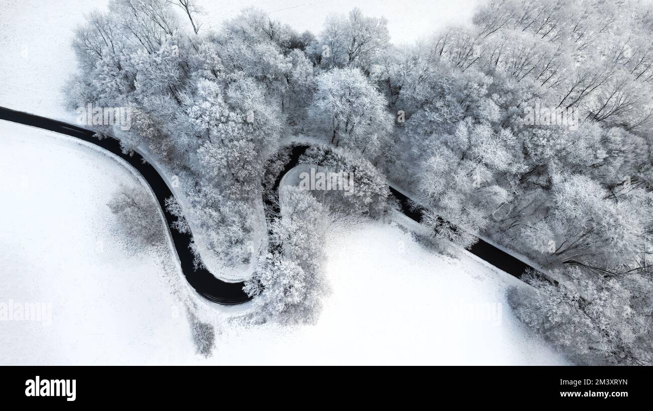 Winding road through a white frosty and snowy forest in Germany in ...