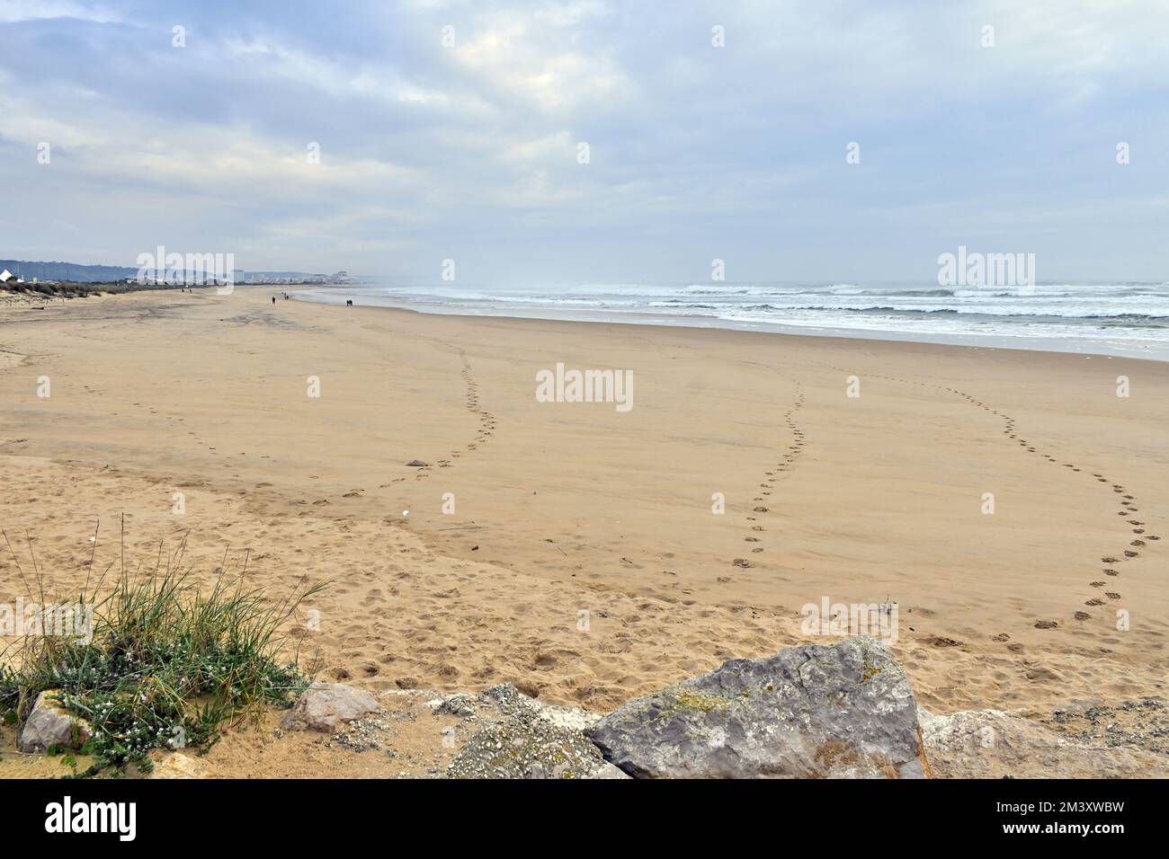 A beautiful shot of footprints in the sand near seashore under cloudy ...