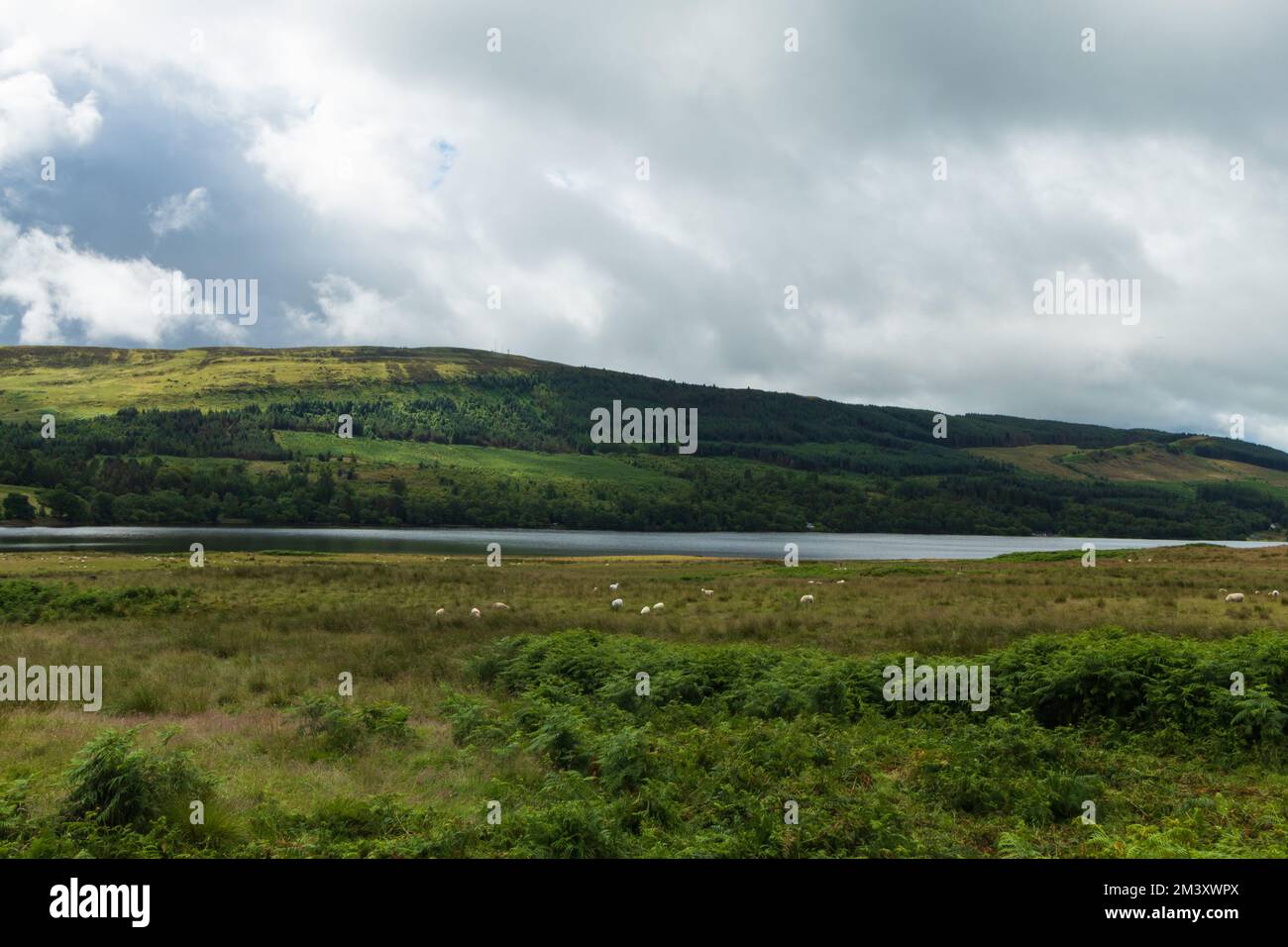 Farmland in the Scottish Highlands Stock Photo - Alamy