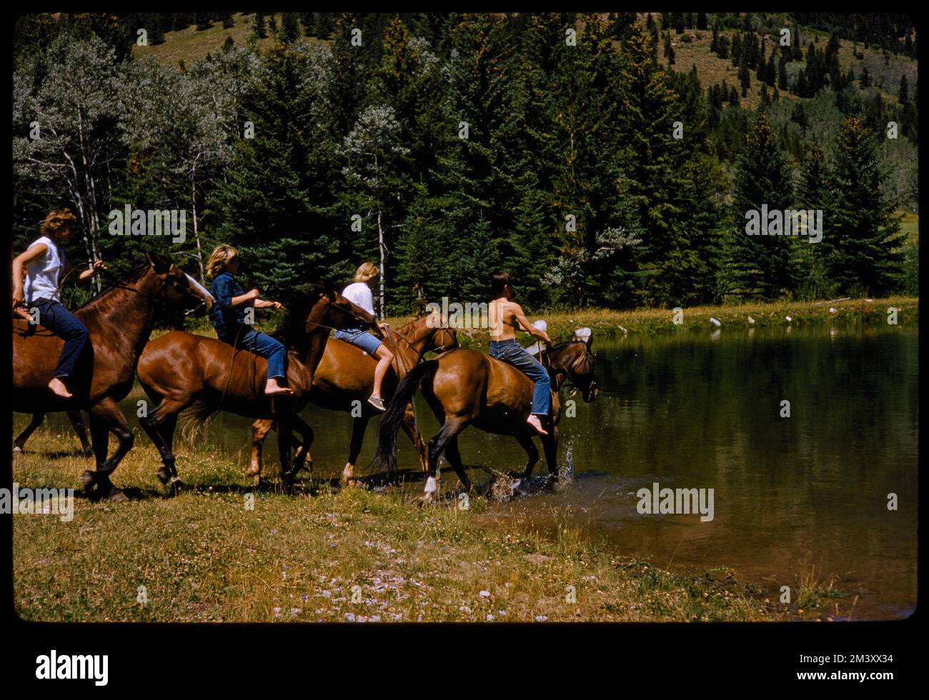 Trail Creek, Wyoming Dude Ranch, Toni Frissell, Antoinette Frissell ...