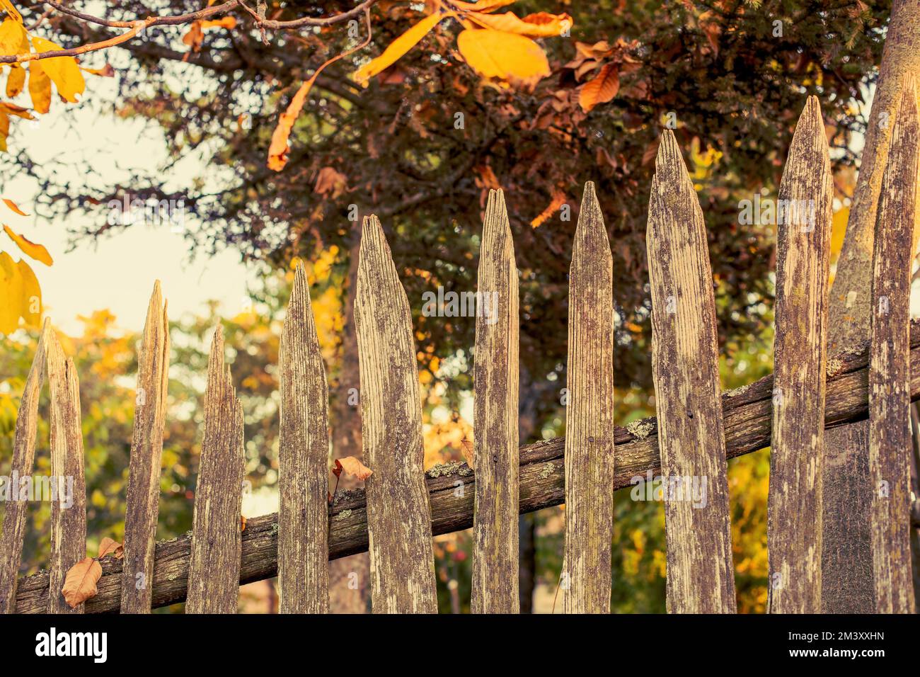 Detail of old wooden fence.Autumn season. High quality photo Stock ...