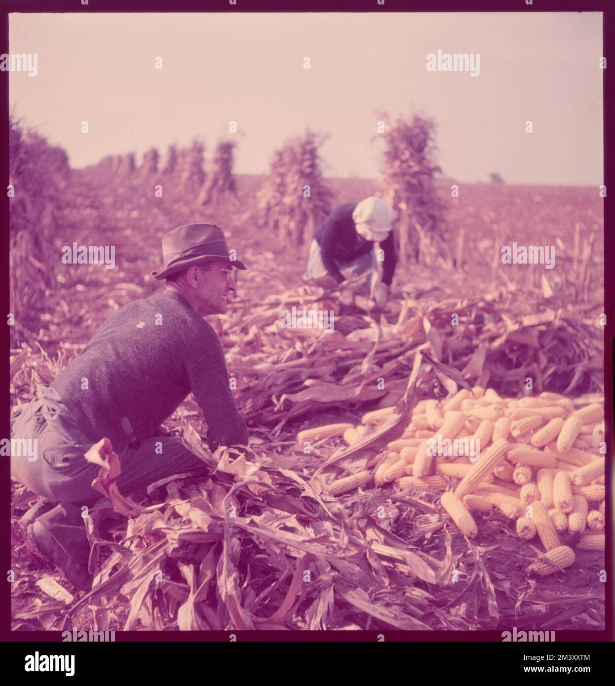 Harvest Color - Amish, Toni Frissell, Antoinette Frissell Bacon ...