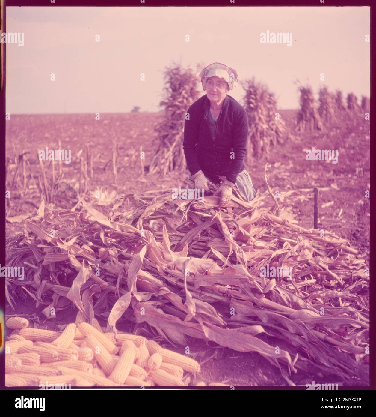 Harvest Color - Amish, Toni Frissell, Antoinette Frissell Bacon ...