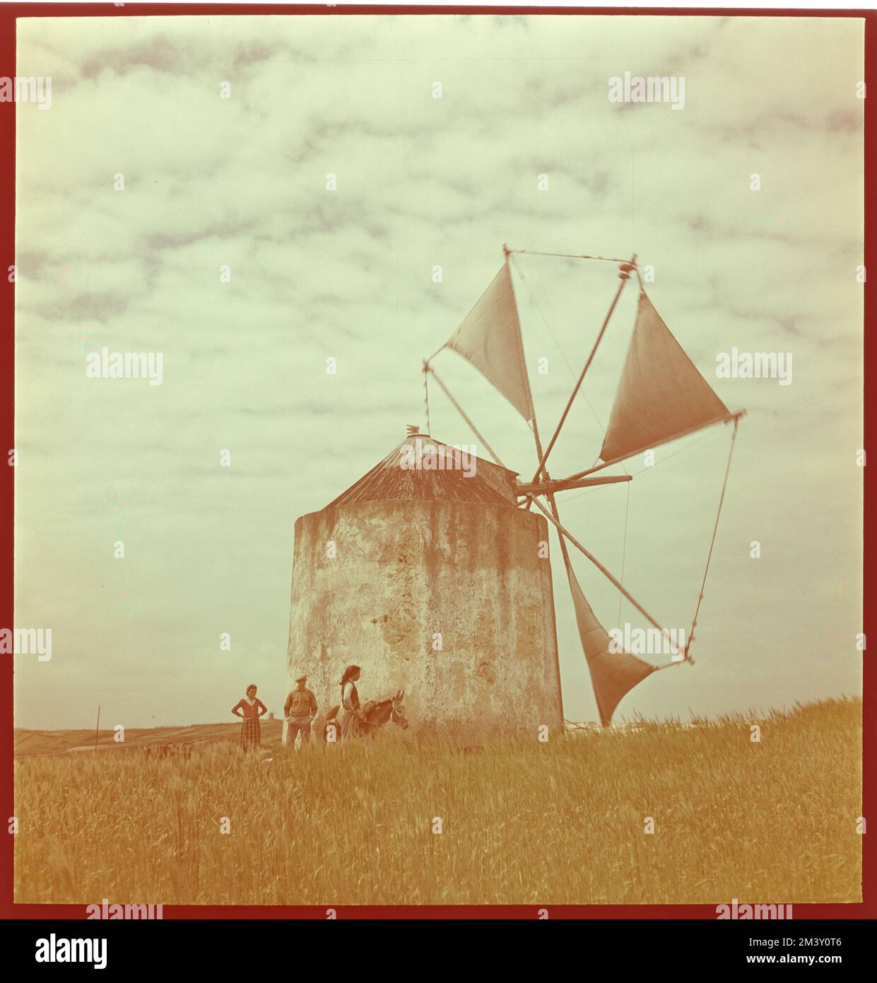 Windmill, scenes - Portugal, Toni Frissell, Antoinette Frissell Bacon ...