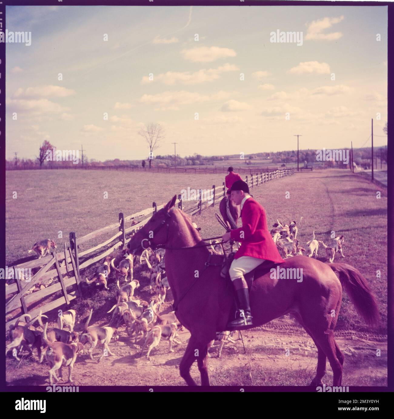 Horses - Riders - Dogs - Action, Toni Frissell, Antoinette Frissell ...