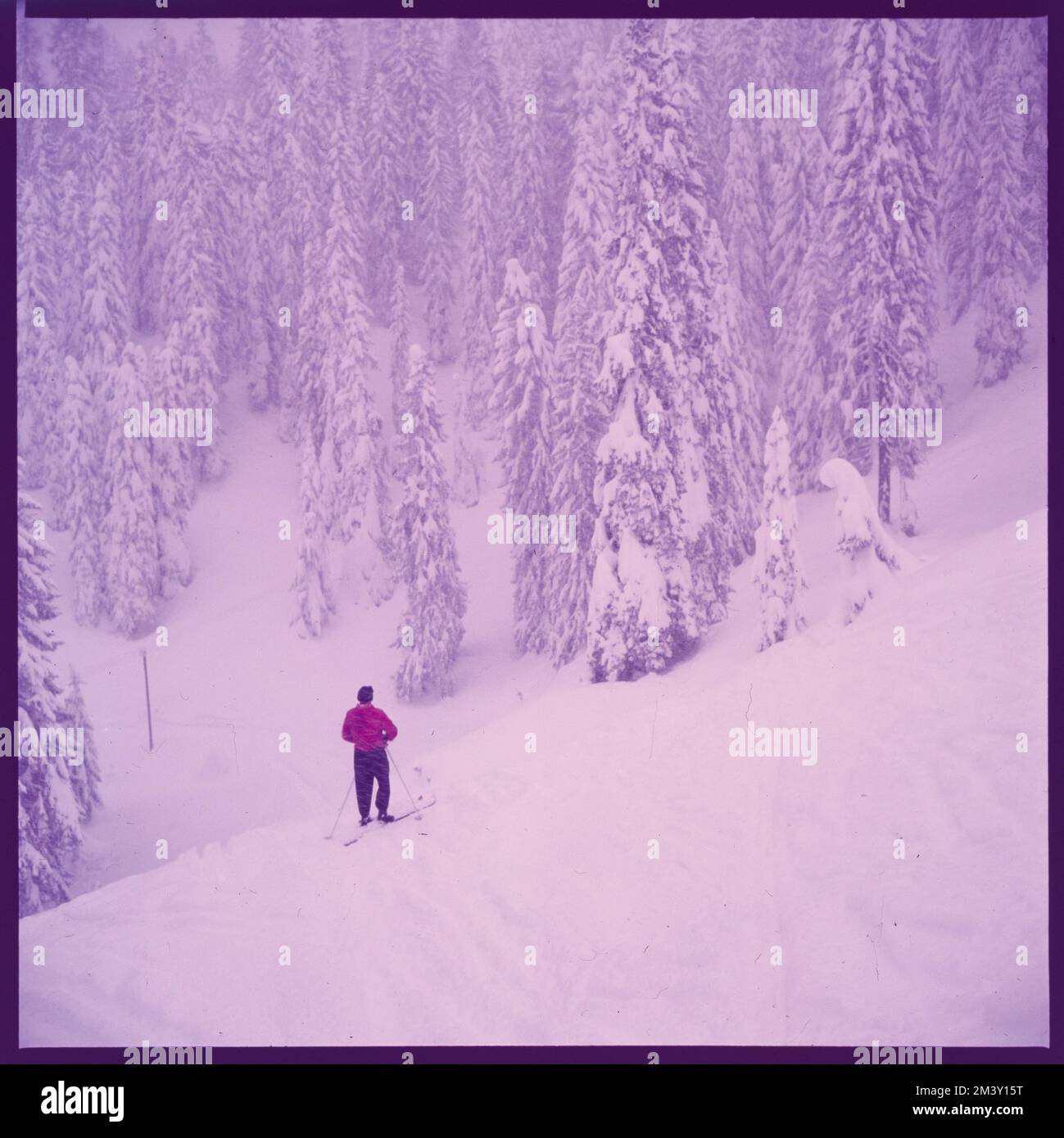 Schwartseealp - Klosters Run, Toni Frissell, Antoinette Frissell Bacon ...