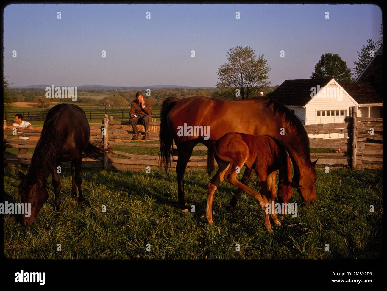 Paul Mellon Family, Oak Springs Farm Choices & Extras, Toni Frissell ...
