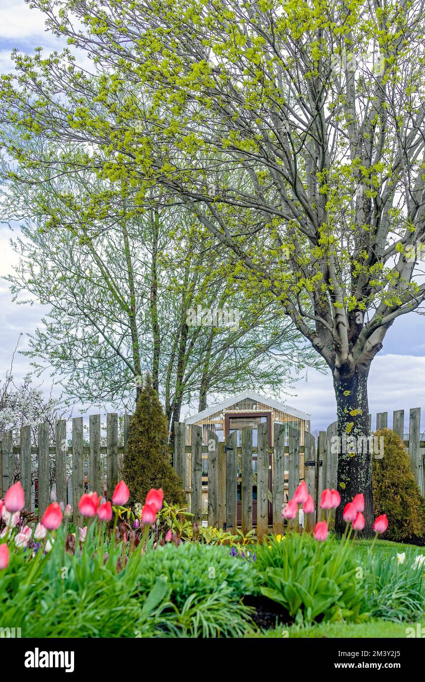 Garden gate leading to a residential back yard Stock Photo - Alamy