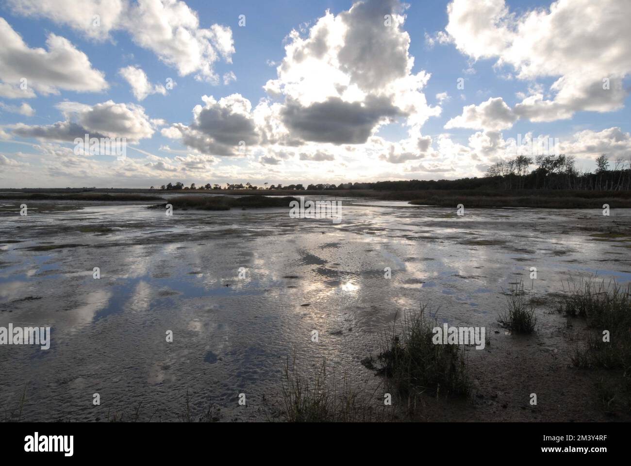 Reflections of blue sky & white clouds in mudflats at Hazelwood Marshes ...