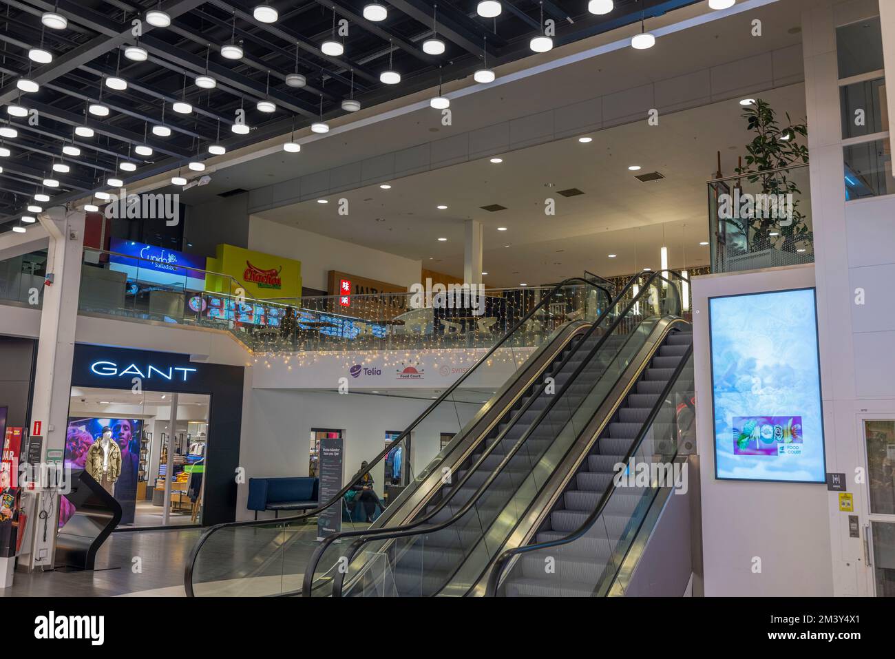 Interior view of modern supermarket. Escalator stairs for customers up ...
