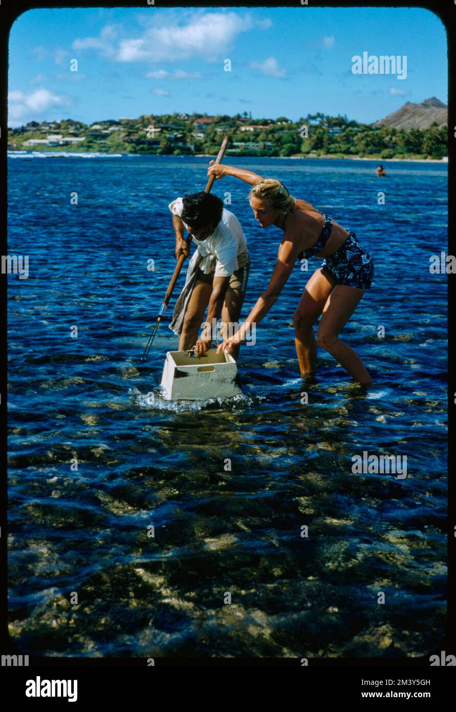 Hawaii - , Toni Frissell, Antoinette Frissell Bacon, Antoinette ...