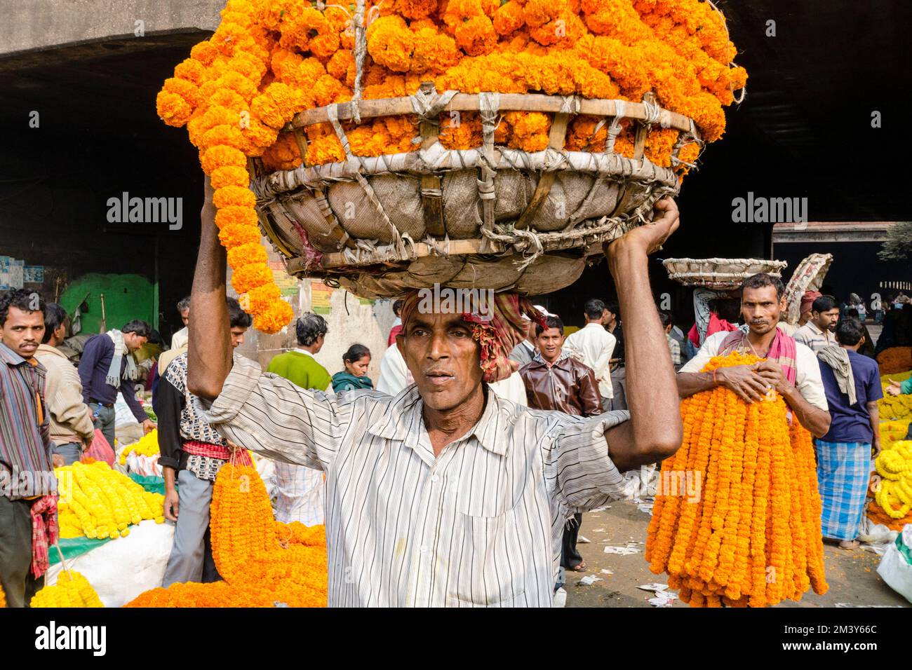 A porter is carrying a basket. The 125-year old Kolkata Flower Market ...