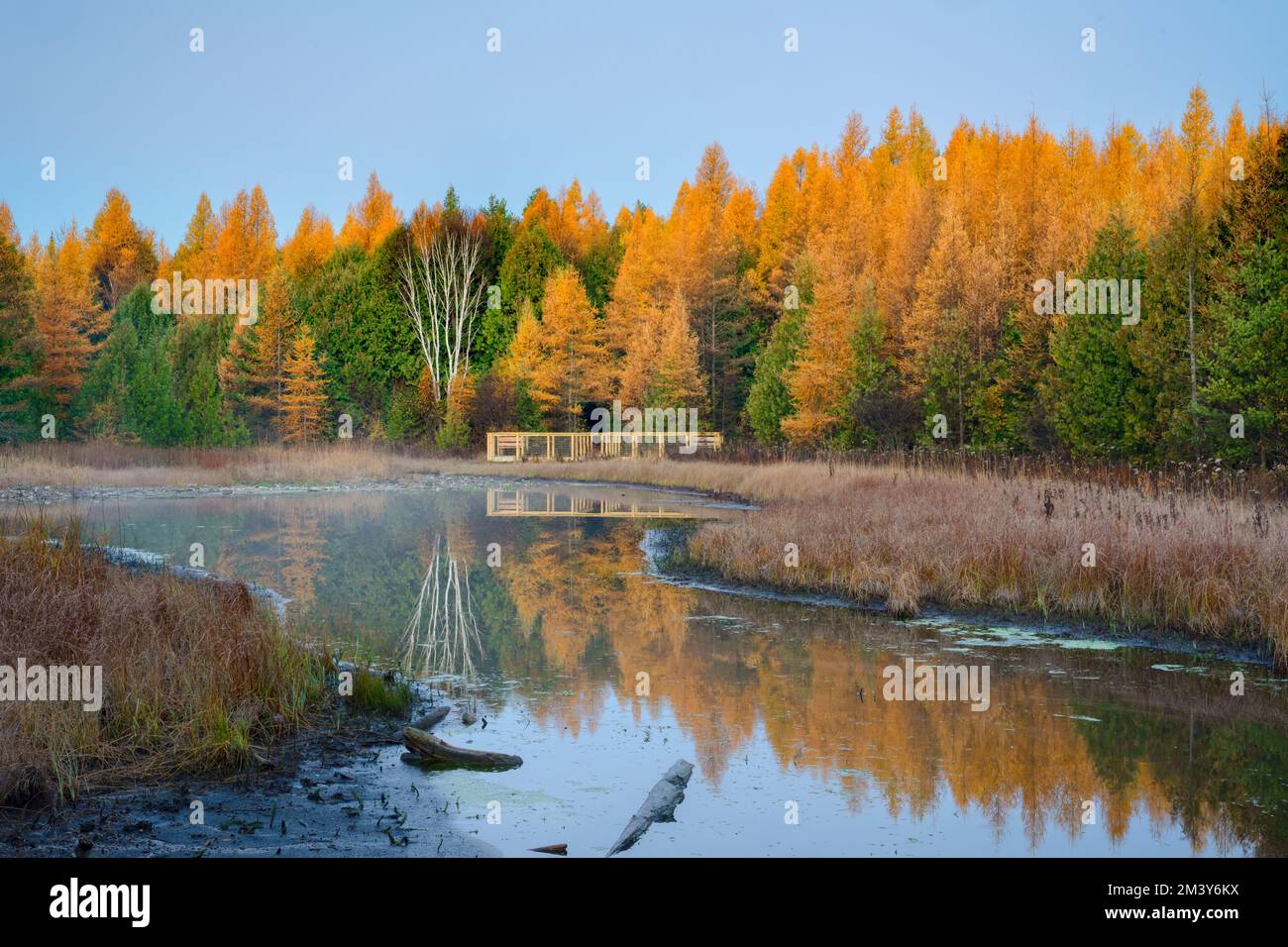 This image was taken just before sunrise at the "Three Springs nature ...