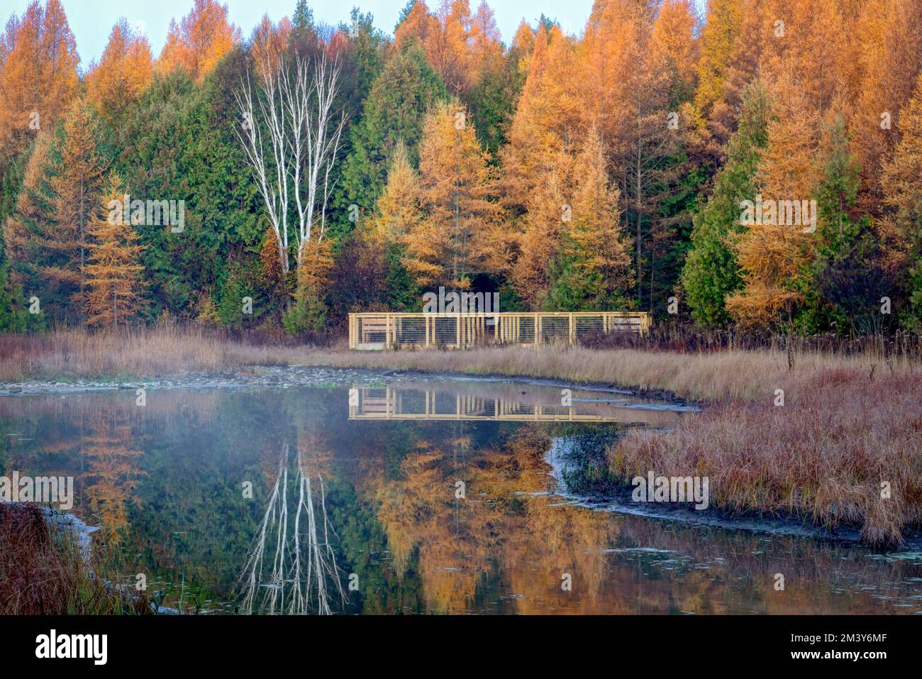 This image was taken just before sunrise at the "Three Springs nature ...