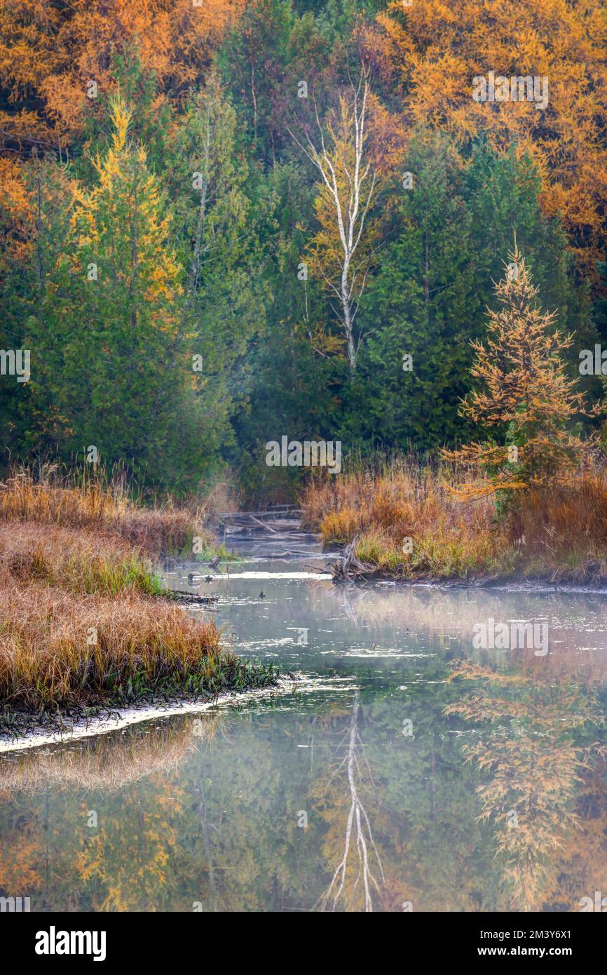This image was taken just before sunrise at the "Three Springs nature ...