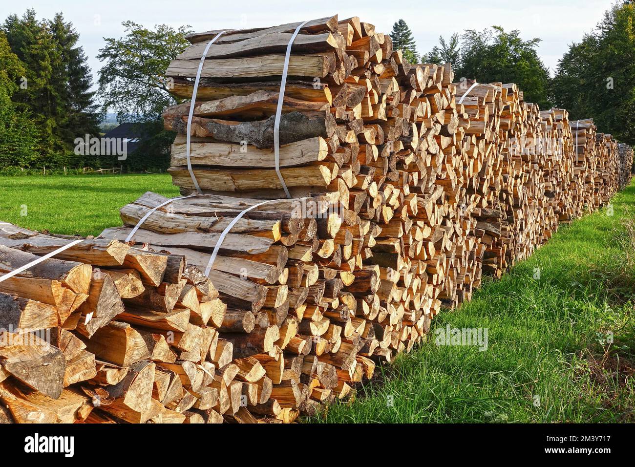 Log timber burning on firewood hi-res stock photography and images - Alamy