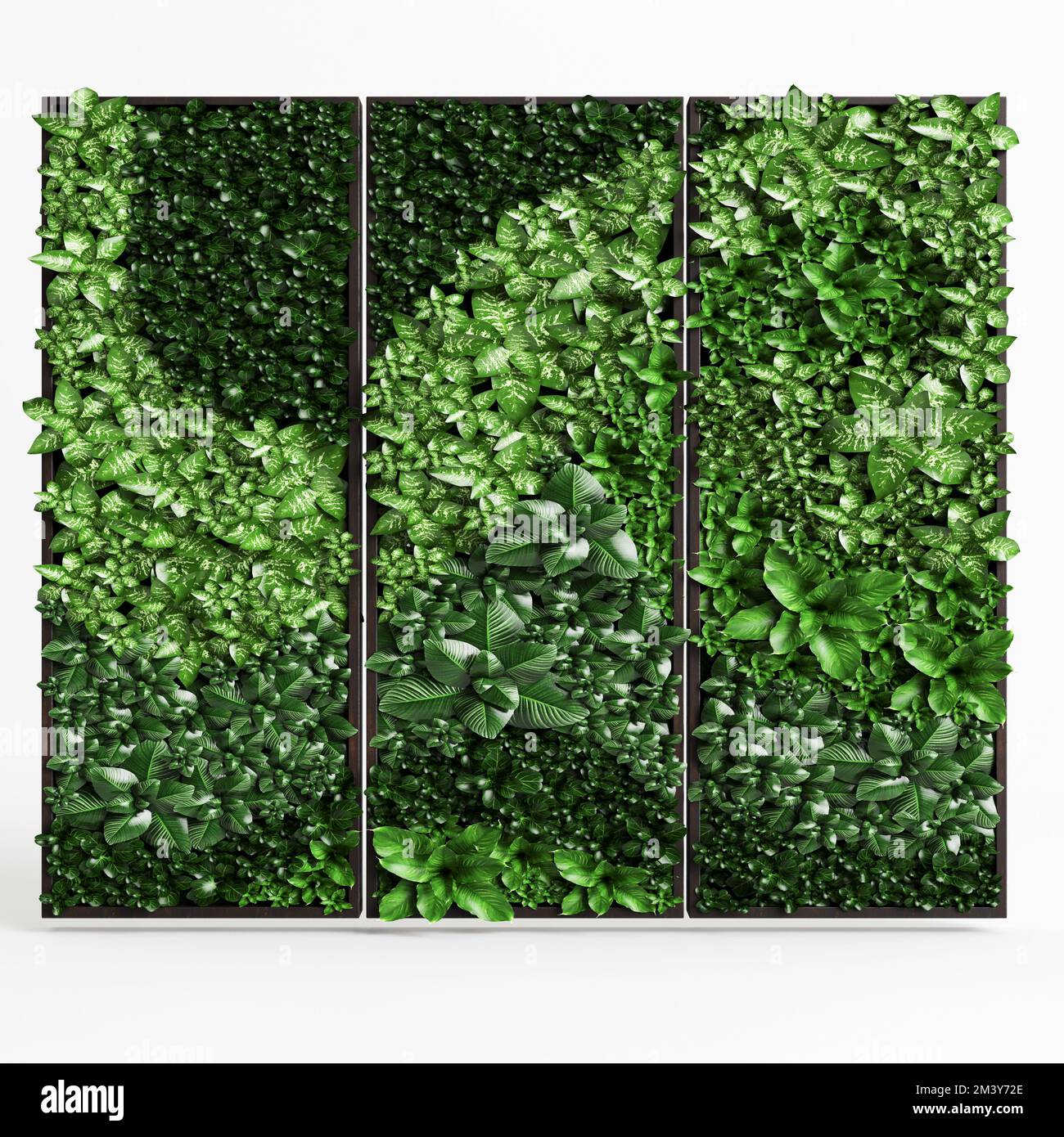 3d illustration of wall tree isolated on white background Stock Photo ...