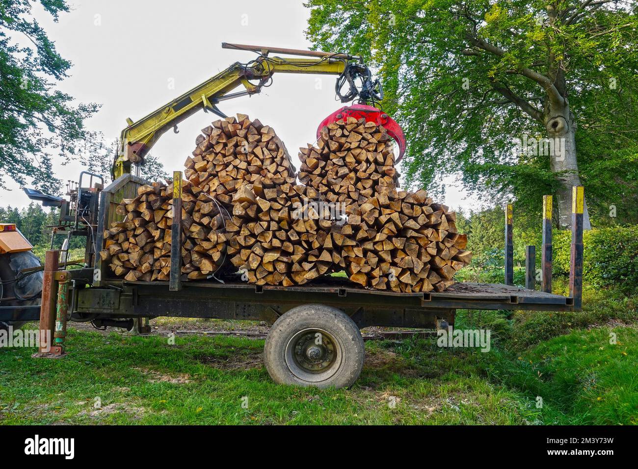 Bundles of firewood ona tractor trailer Stock Photo - Alamy