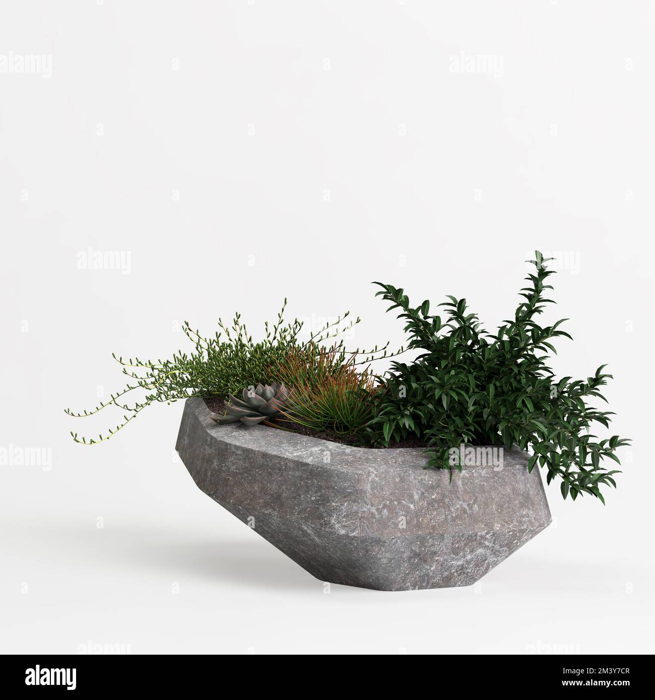 3d illustration of stone potted flora isolated on white background ...