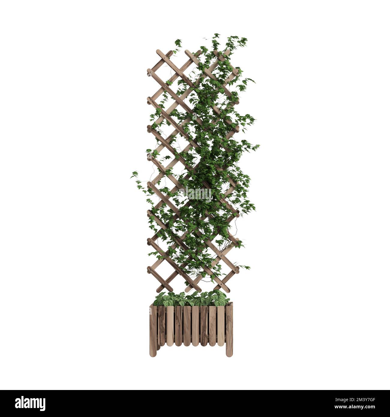 3d illustration of planter with trellis isolated on white background ...