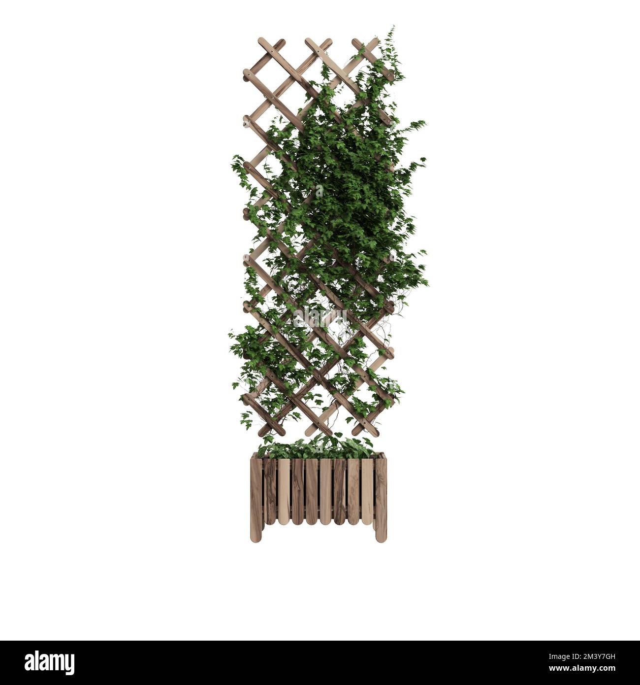 3d illustration of planter with trellis isolated on white background ...