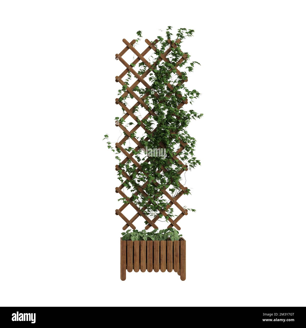 3d illustration of planter with trellis isolated on white background ...