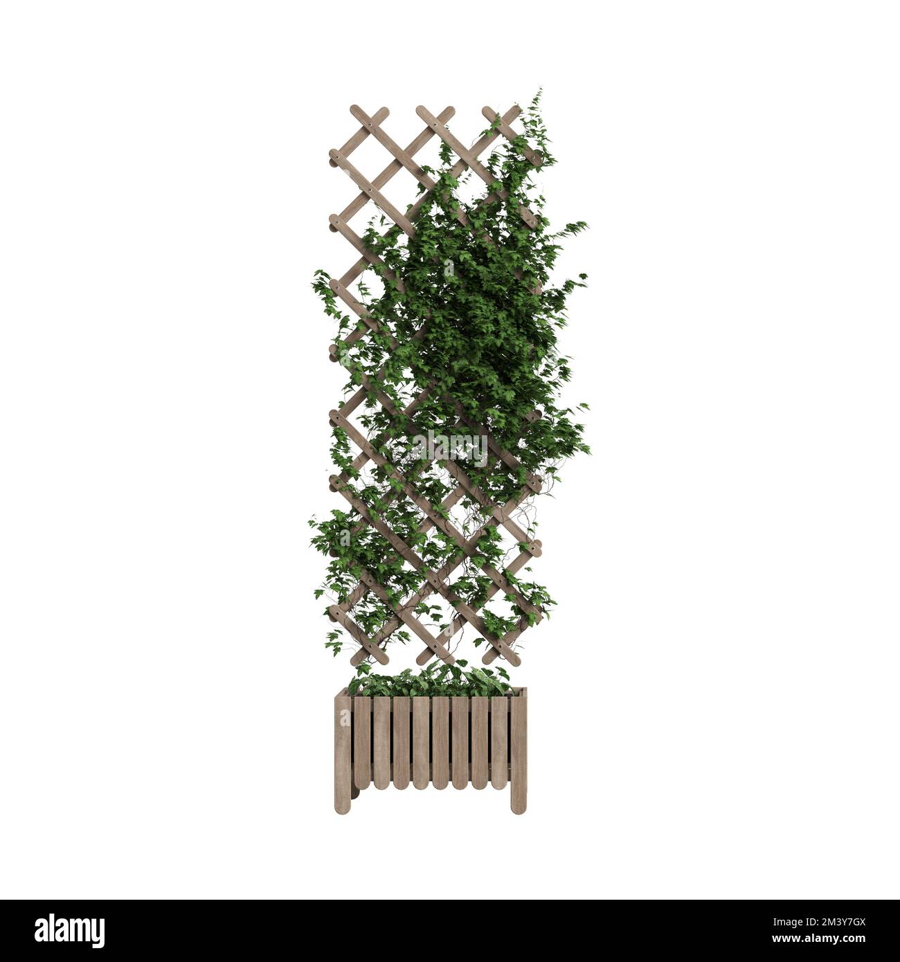 3d illustration of planter with trellis isolated on white background ...