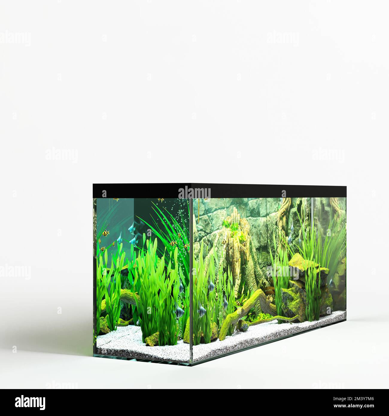 3d illustration of aquarium isolated on white background Stock Photo ...