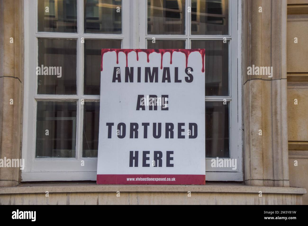 University animal experiments hi-res stock photography and images - Alamy