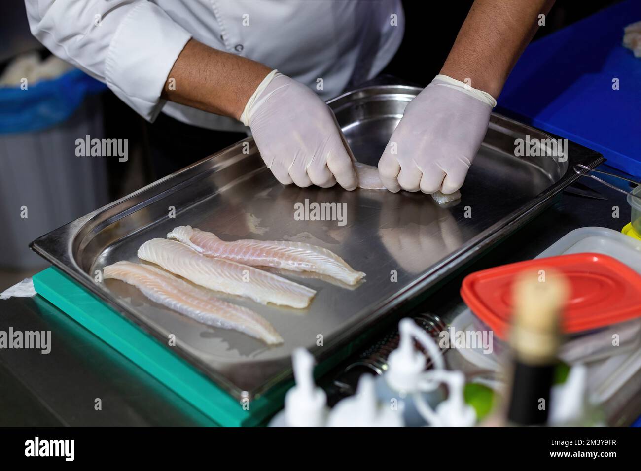 Shrimp eating fish hi-res stock photography and images - Alamy