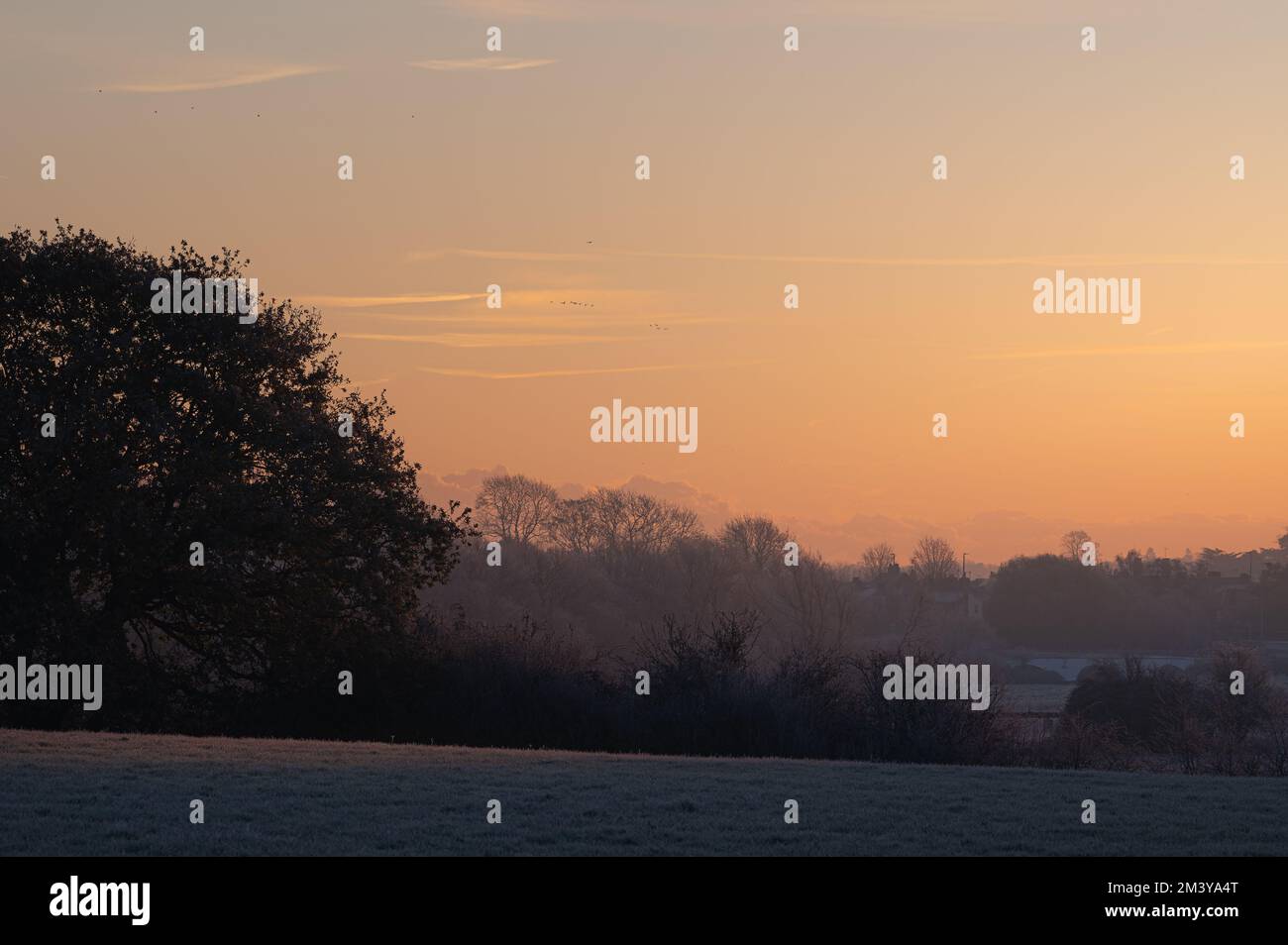 View on Colchester Jumbo water tower from a distance. Buildings ...