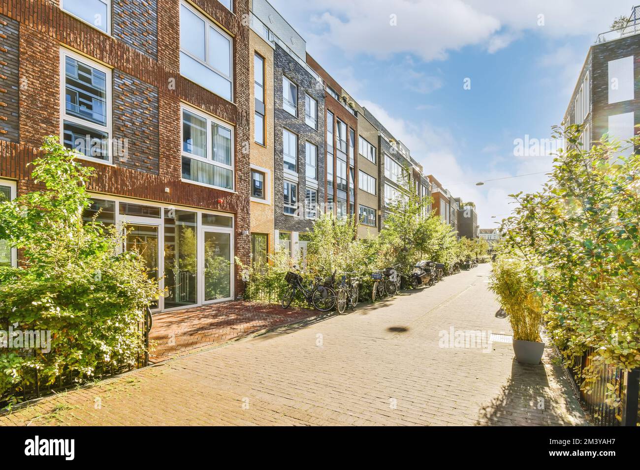 an urban street in the netherlands, with brick buildings and trees on ...