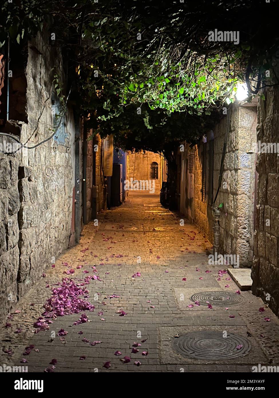 Flourishing petals hi-res stock photography and images - Alamy