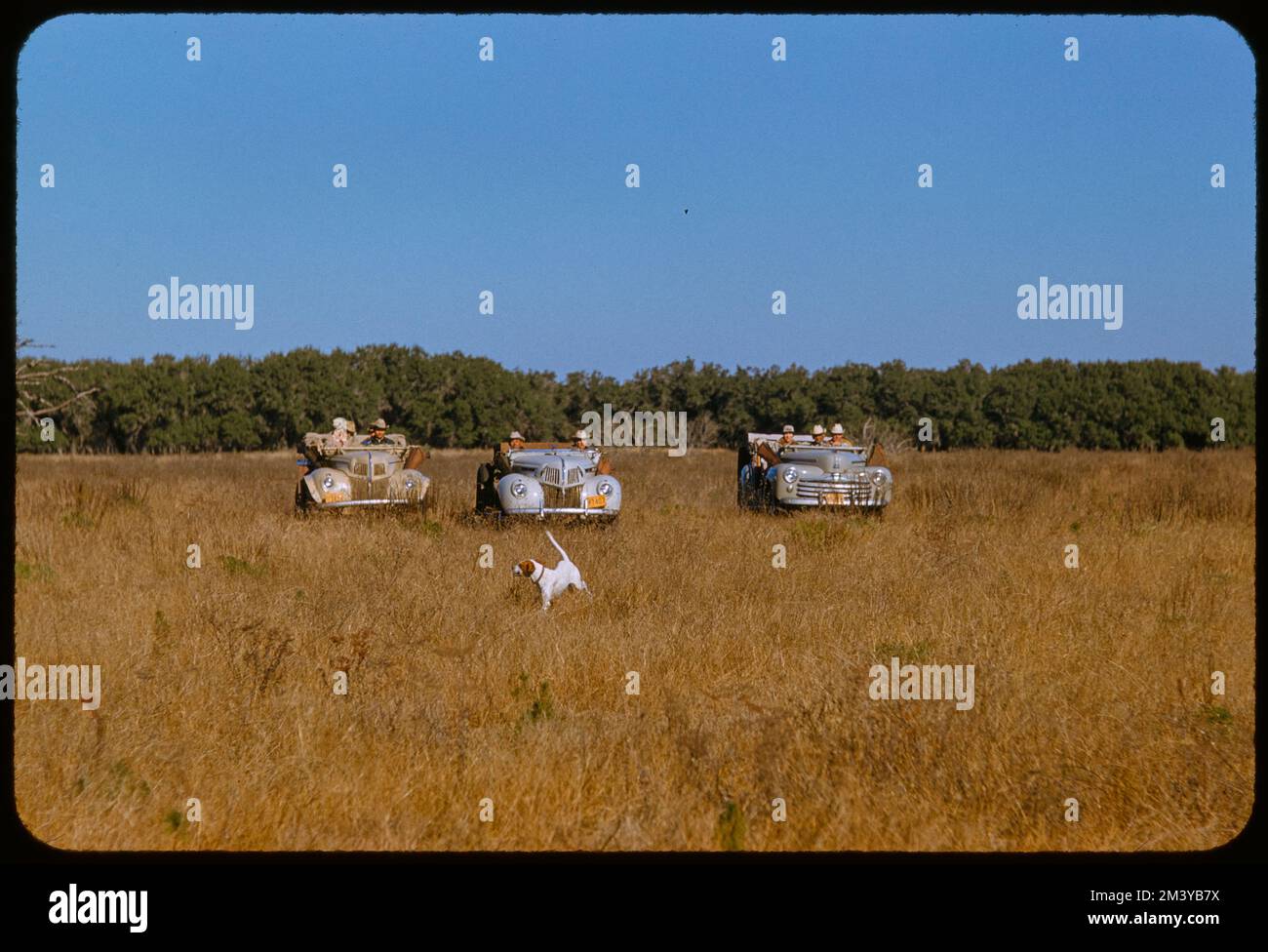 Sports Illustrated - Job x3470 - Texas Quail Hunt - Groups 1-4, Toni ...