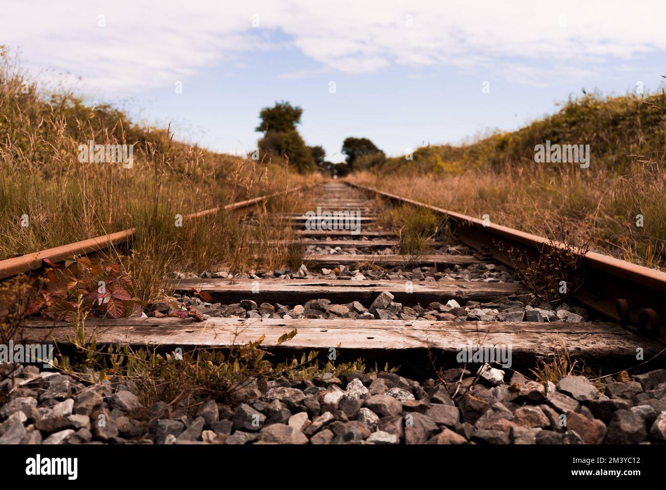 A train track with rocks and grass over it Stock Photo - Alamy