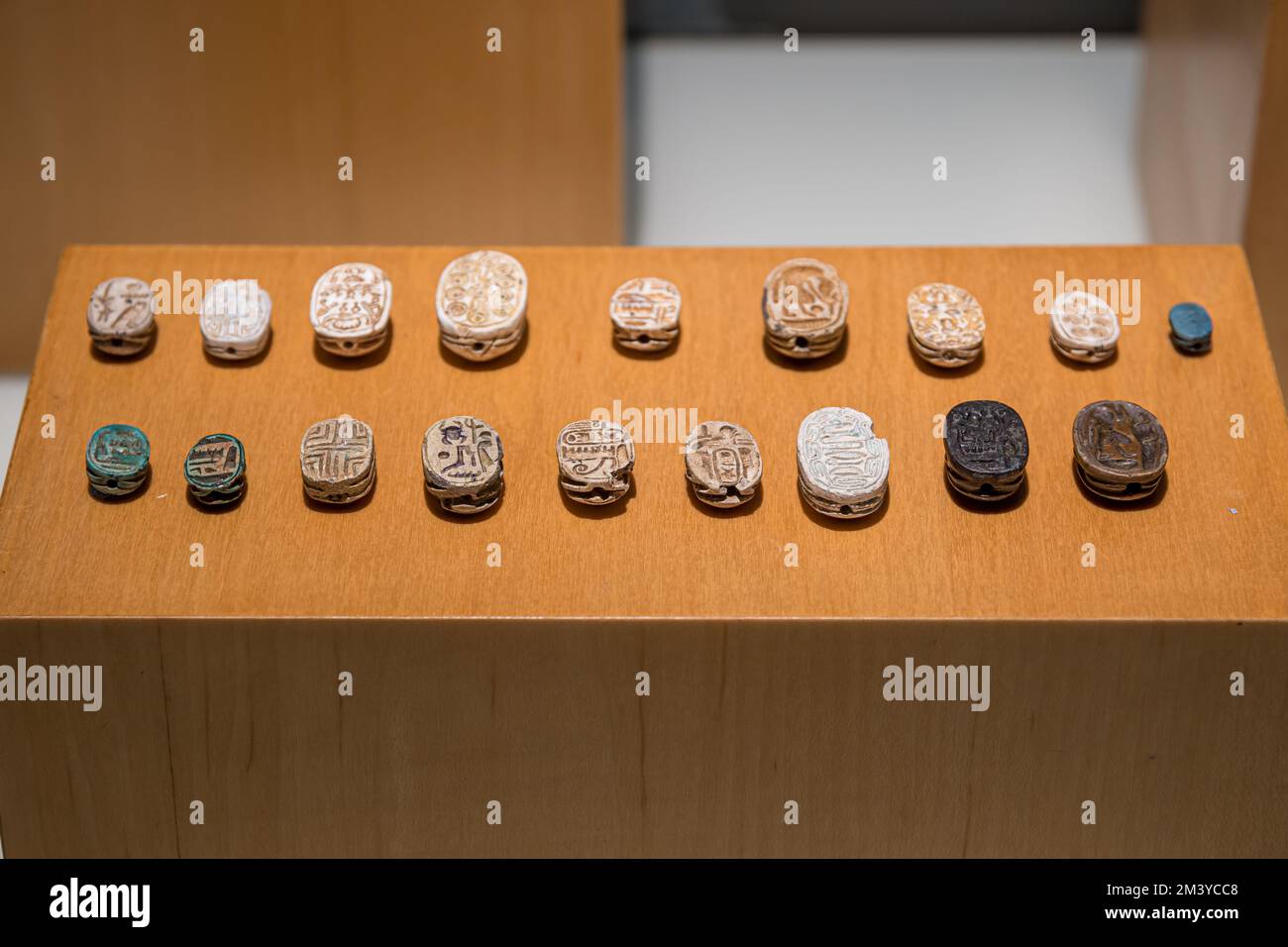 Scarabs with a wide range of motifs.. Various exhibit items, on display ...