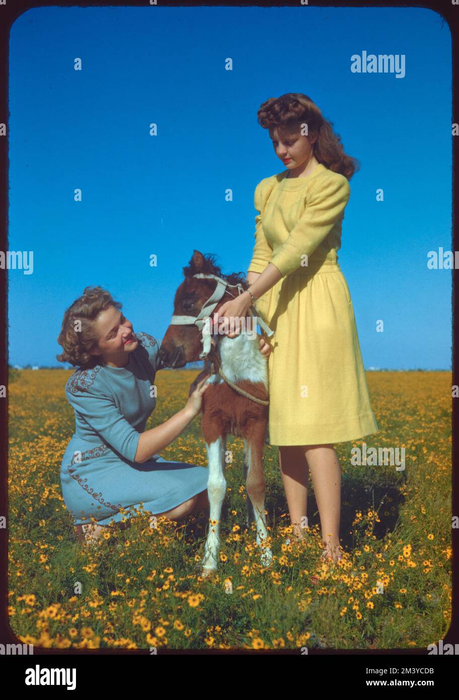 Fashions: Texas, California and Florida, Toni Frissell, Antoinette ...