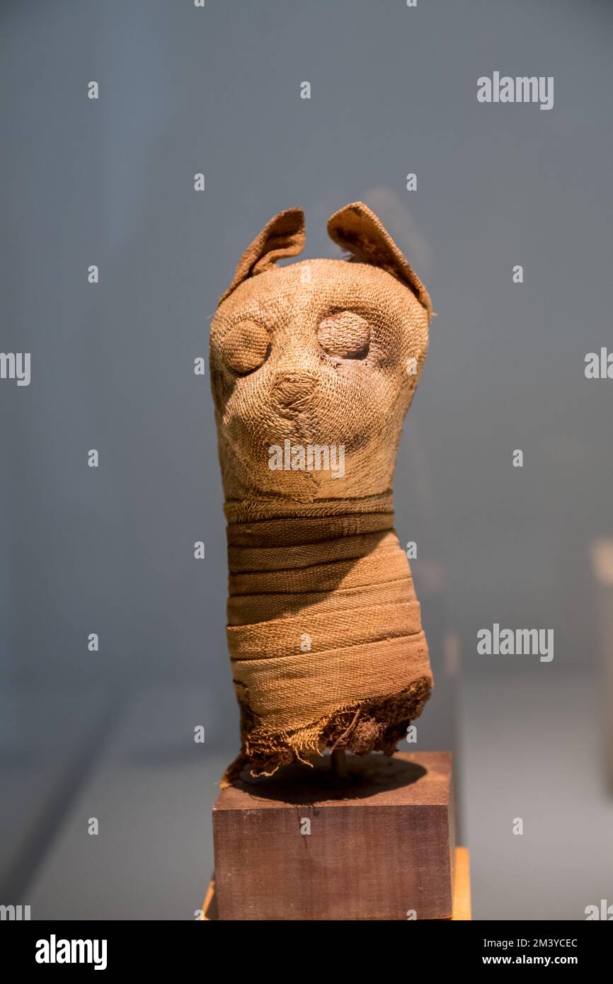 cat mummy, late period, ptolemaic period (715-30 BC). Egyptian museum ...