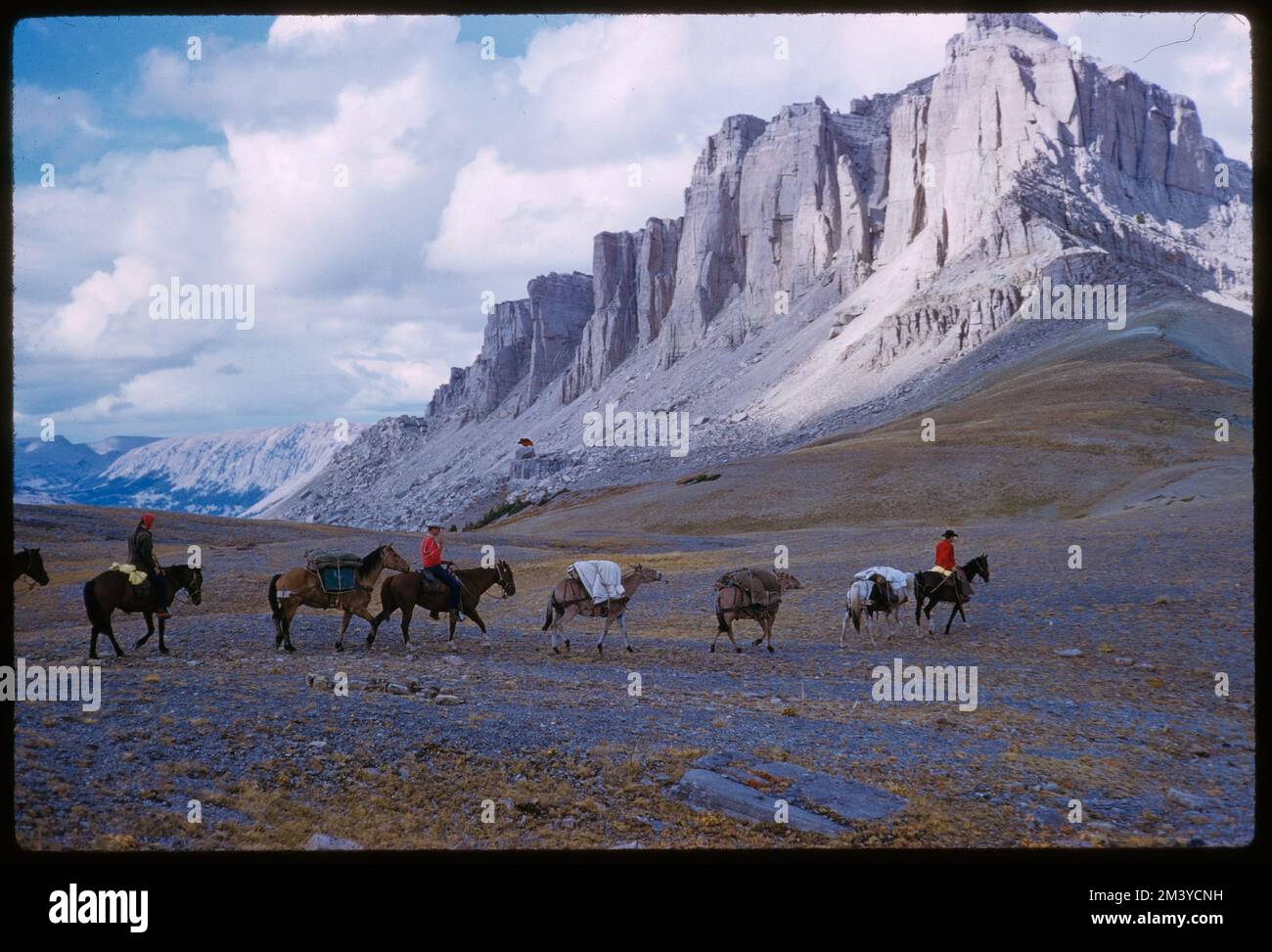 Wyoming - Gros Ventre, Toni Frissell, Antoinette Frissell Bacon ...